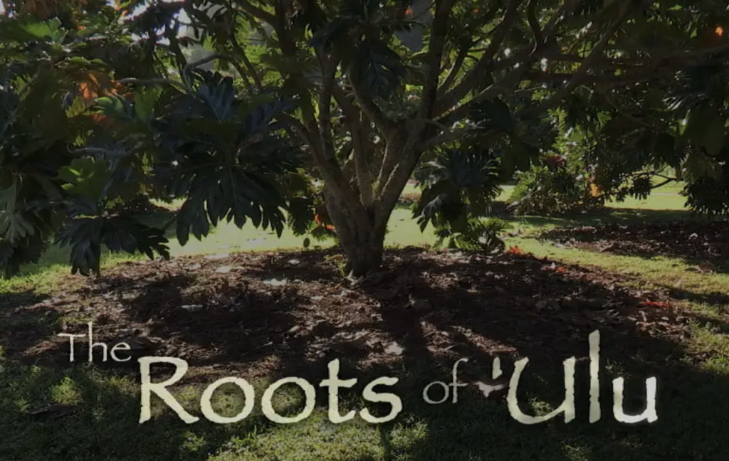 The Roots of the Ulu • The Breadfruit People
